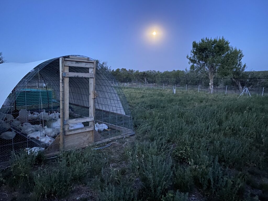 97 – Living Off-Grid Full Time (lots of pics!) – Fort Rock Farms